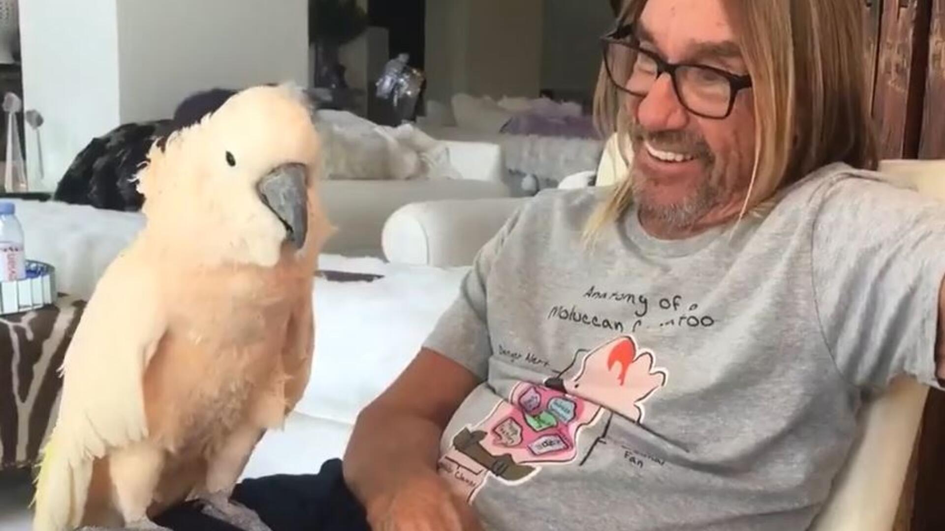 Iggy Pop ma najwierniejszą fankę na świecie. Zobaczcie, co wyprawia ...